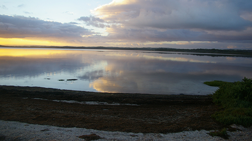 Curriculum Vitae | Gavin Malone Visual Artist & Cultural Geographer